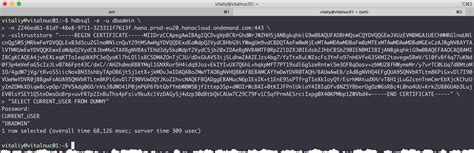 secure connection from hdbsql to sap hana cloud sap community
