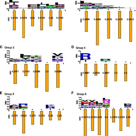 The Sequence Motif Logos Of Six Pocket Groups And The Ratios Of Active Download Scientific