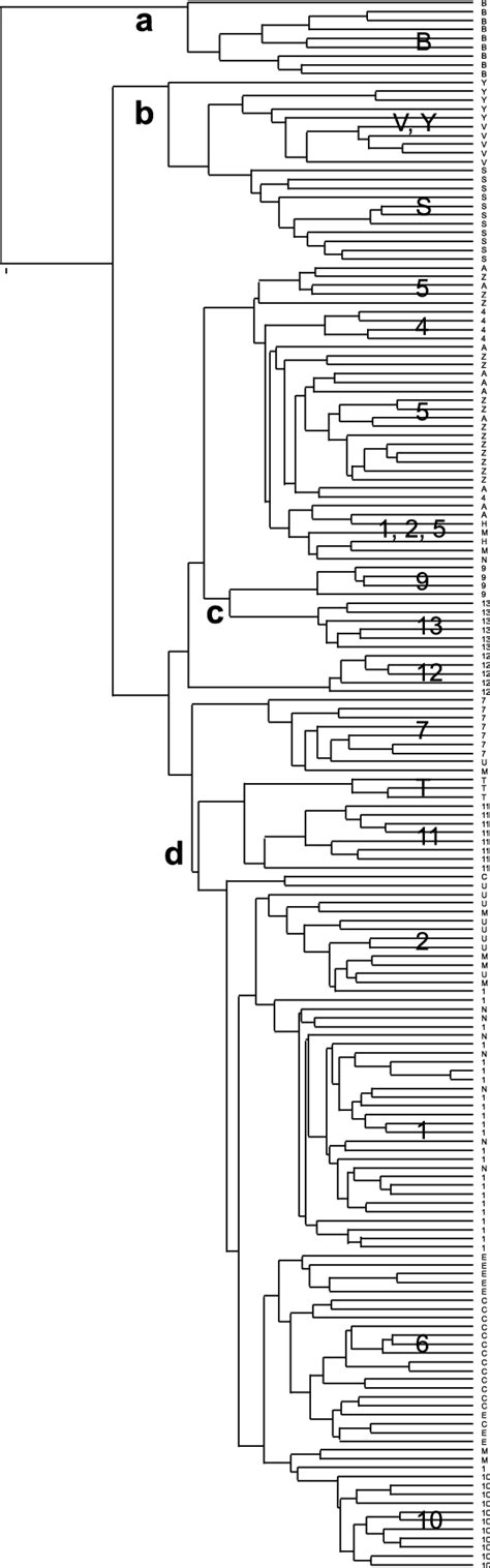 Cluster Analysis Based On Euclidian Similarity Matrix Of 178 Measured