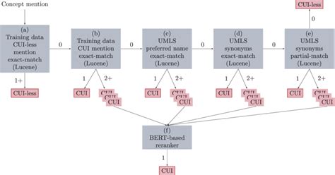 Architecture Of Our Proposed Framework For Concept Normalization The