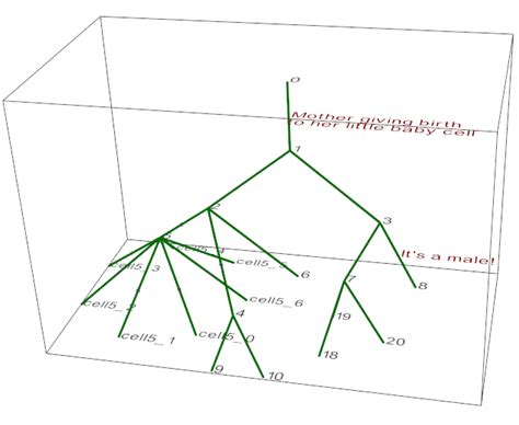 Python Vtk实时更新点云基于vtk的3d对象和点云的科学可视化的python模块艾古力斯的博客 Csdn博客