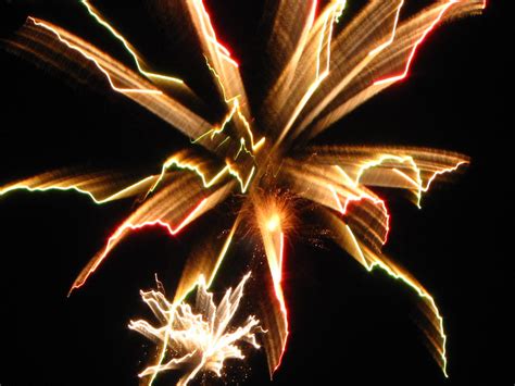 Electric Bug By Kdog12355 On Deviantart