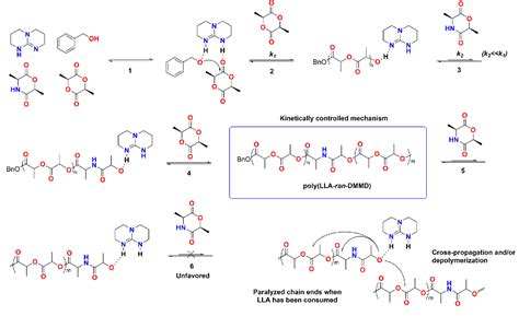 Figure 5 From Inclusion Of Isolated α Amino Acids Along The Polylactide Chain Through
