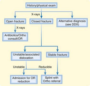 Forearm Fractures Anesthesia Key