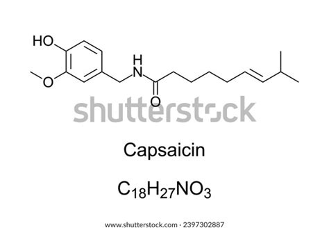 Capsaicin Chemical Formula Structure Active Component Stock Vector Royalty Free 2397302887