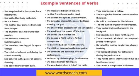Verb Examples Sentence