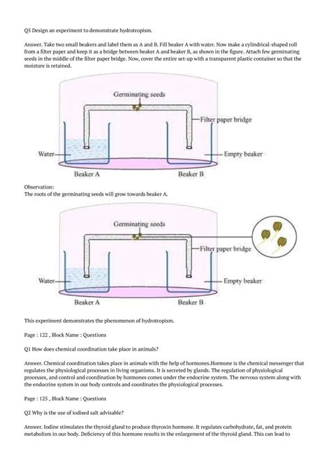 Ncert Solutions 2025 Class 10 Science Chapter 6 Control And Coordination Question Answer Pdf