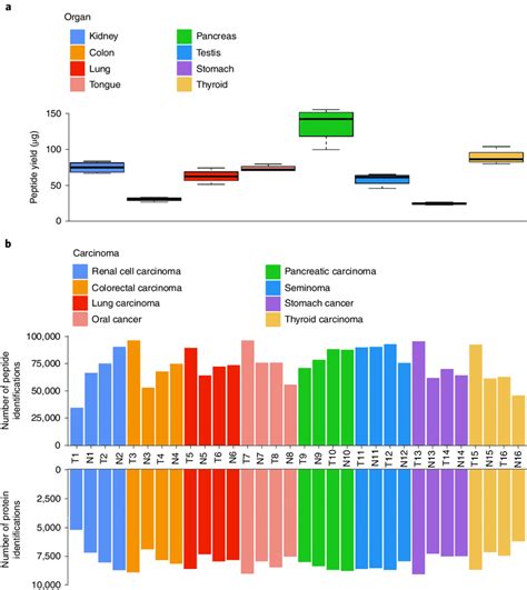 Application Of The Pct Assisted Sample Preparation Protocol For Human