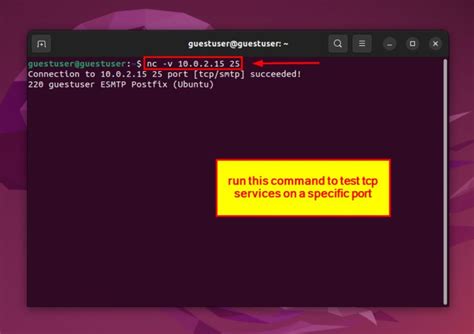 How To Use The Netcat Command In Linux 6 Best Uses