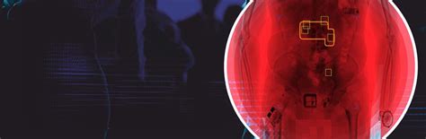 Contraband X Ray Body Scanners — Contraband Detector In Uk Usa Uae Worldwide Linev Systems