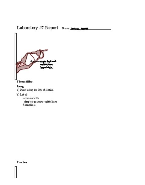 Lab7report Lab 7 Report Deprecated Api Usage The Svg Back End Is