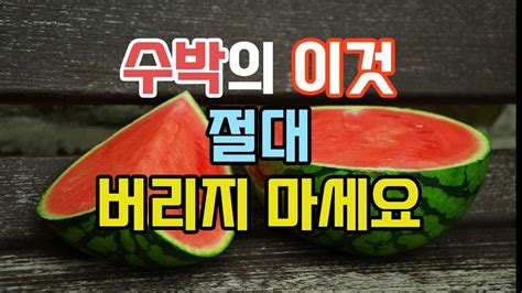 [건강톡톡] 수박의 이것 버리지 마세요 수박을 이용한 레시피 건강정보 건강상식 수박레시피 Youtube