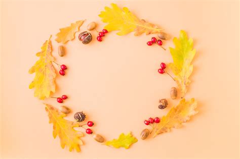 컬러 배경에 화려한 단풍 도토리와 열매와 플랫 레이 프레임 10월에 대한 스톡 사진 및 기타 이미지 10월 9월 가을 Istock