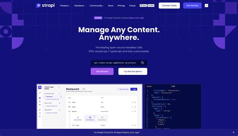 Dworkz Contentful Strapi WordPress Which Headless CMS Is Best For You