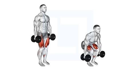 Dumbbell Press Squat Guide Benefits And Form