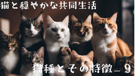 世界の猫の種類と特徴 9 Youtube