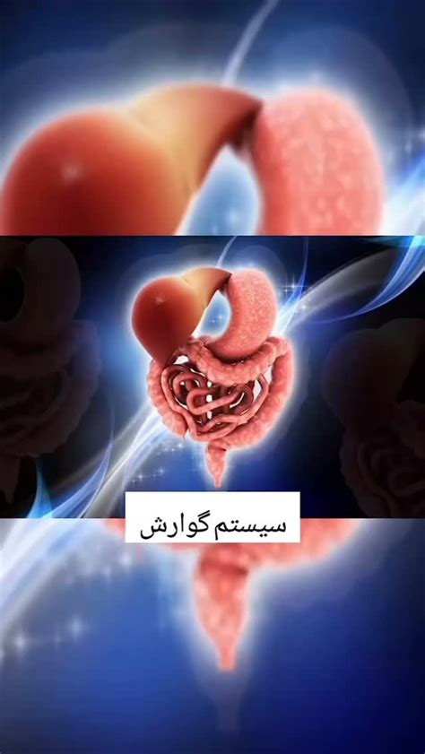 ‎خودشناسی پاکسازی چاکراها‎ ‎بفرست واسه همه که بخندن🤣🤣🤣‎ Instagram