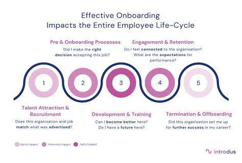 What Is The Employee Lifecycle And Its 7 Stages Introdus