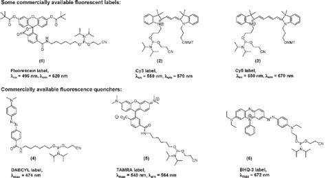 Commercially Available Phosphoramidite Monomers For Download Scientific Diagram
