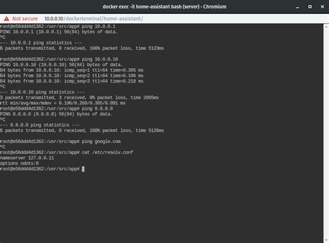 Unraid And Docker Networking And Dns General Support Unraid