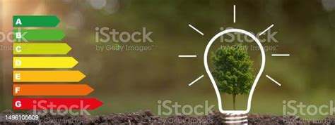 전원 플러그와 함께 전구를 들고 손으로 나무 지속 가능한 개발을 가진 재생 에너지 아이콘을 보여줍니다 0명에 대한 스톡 사진 및 기타 이미지 Istock