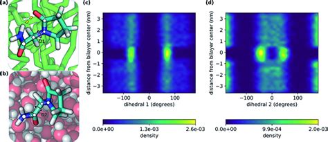 dihedral angle and conformational analysis of pct as it translocated
