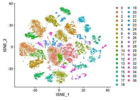Dimplot Smerged Reduction Umap