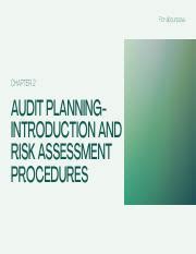 Effective Audit Planning Reduce Risk Enhance Efficiency Course Hero