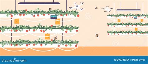 Automation Of Strawberry Production In The Vertical Greenhouse Garden