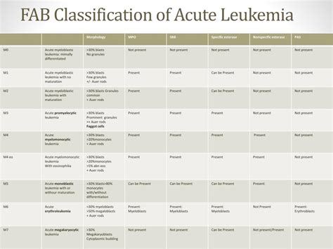 Ppt Acute Myeloid Leukemias Aml Powerpoint Presentation Free