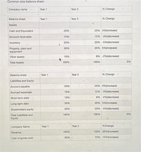 Common Size Balance Sheet Analysis The Companys