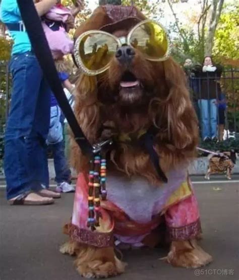 简单且有创意的python作品 Python编程创意mob64ca13fe9c58的技术博客51cto博客