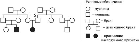 Задание №35946 По изображённой на рисунке родословной определите какова вероятность
