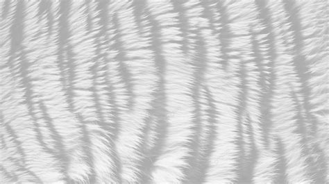 Exquisite Tiger Fur Authentic Texture Of Real Tiger Skin Wild Cat