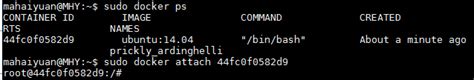 详解如何通过多种方式进入docker容器 csdn博客