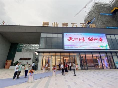 选址增城石滩景业名邦天地系2 0产品首次亮相