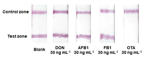 An Aptamer Based Lateral Flow Biosensor For Low Cost Rapid And Instrument Free Detection Of