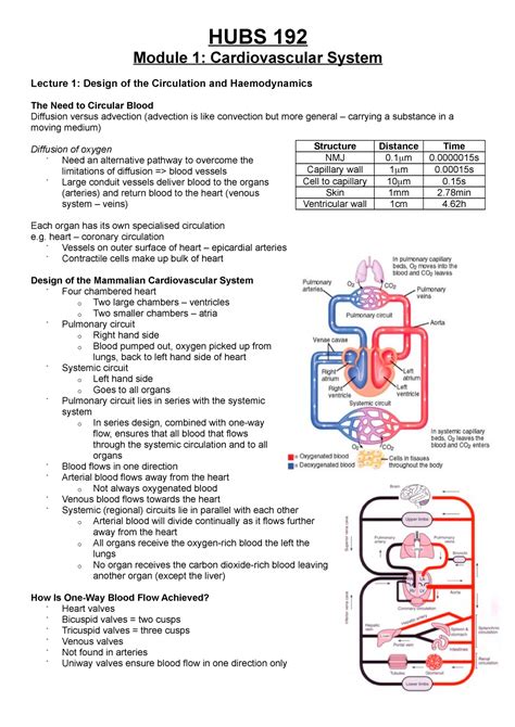 Hubs 192 Lecture Notes Cardiovascular System Hubs 192 Module 1 Cardiovascular System Lecture