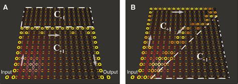 Field Distributions Inside 15×15 Resonator Array For Spatially
