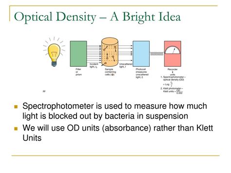 Ppt Measures Of Microbial Populations Powerpoint Presentation Free
