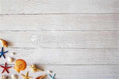 나무 나뭇결 재질 텍스쳐 프레임 사진 이미지 일러스트 캘리그라피 자몽 디자인작가