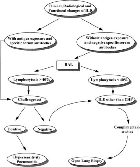 Diagnostic Algorithm For Subacutechronic Hypersensitivity Pneumonitis Download Scientific