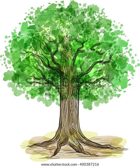 Green Tree Watercolor Texture Free Hand Stock Vector Royalty Free