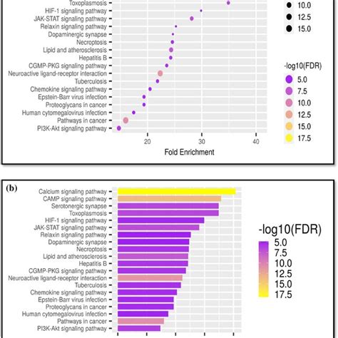 A Proteinprotein Interaction Network Based On Common Targets B The Download Scientific