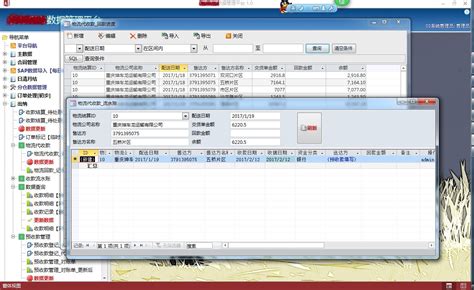 Access开发的软件欣赏 Access软件网