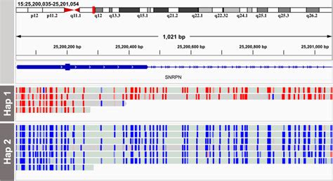 Integrative Genomics Viewer Igv Snapshot Of The Snrpn Promoter Cpg