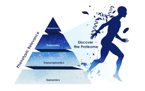 Proteomics Services Discovery And Phosphoproteomics