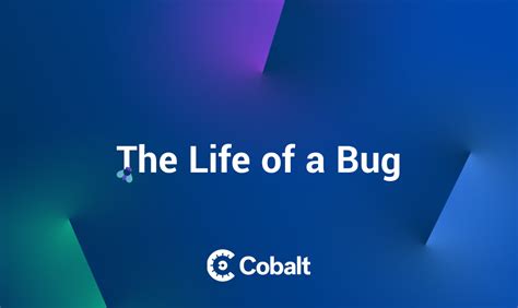 The Life Of A Bug Cobalt