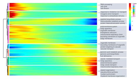 Bd 单细胞 Rna 测序 单细胞 上海伯豪生物技术有限公司 服务科技创新，护航人类健康！