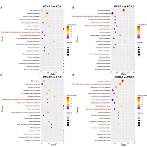 Pdf Comparative Transcriptomic And Metabolomic Analyses Reveal